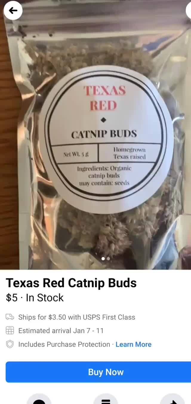 Catnip> weed - TEXAS RED CATNIP BUDS Texas Organic Texas Red Catnip ...