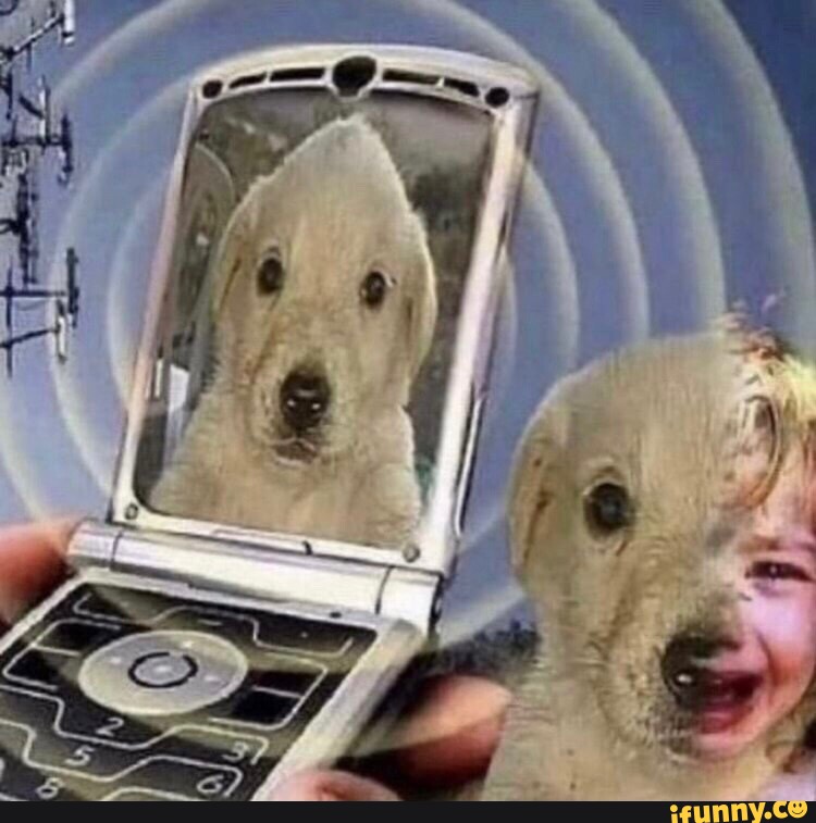 Jotchua memes. Best Collection of funny Jotchua pictures on iFunny