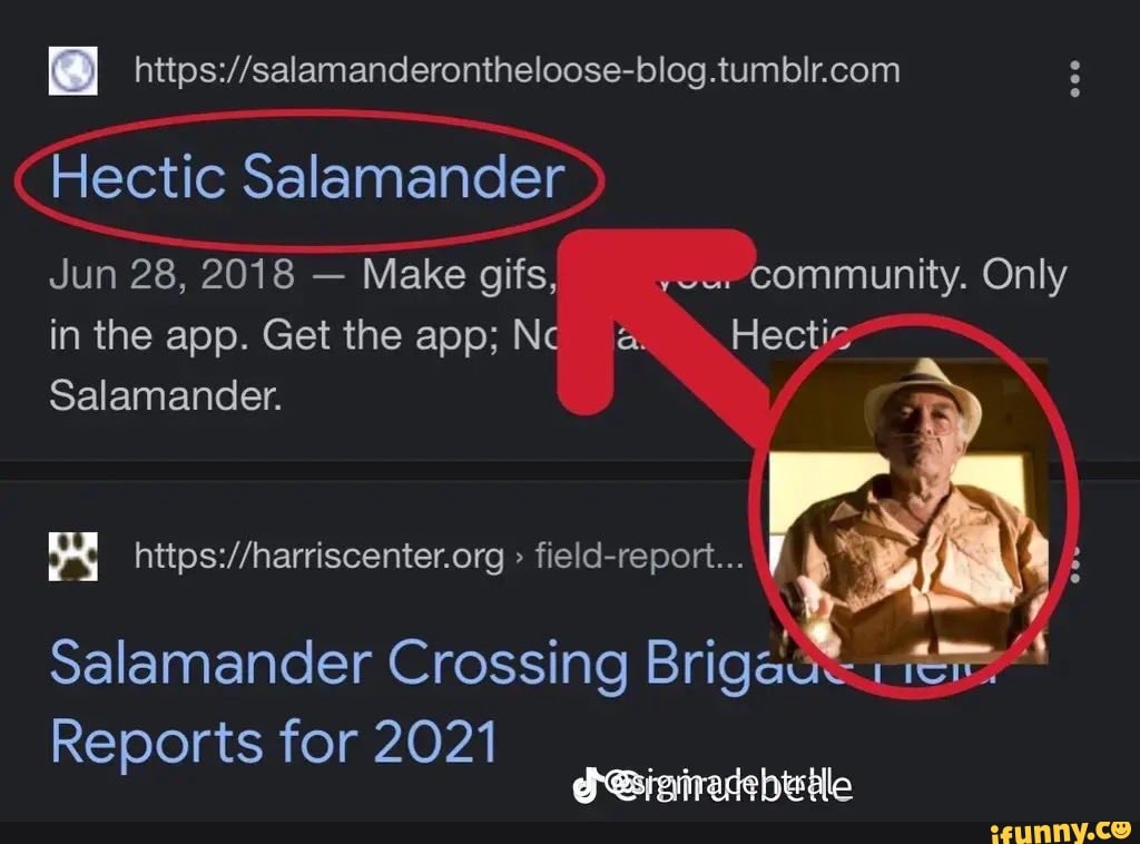 Hectic Salamander Jun 28, 2018 - Make gifs, COMMunity. Only in the app ...