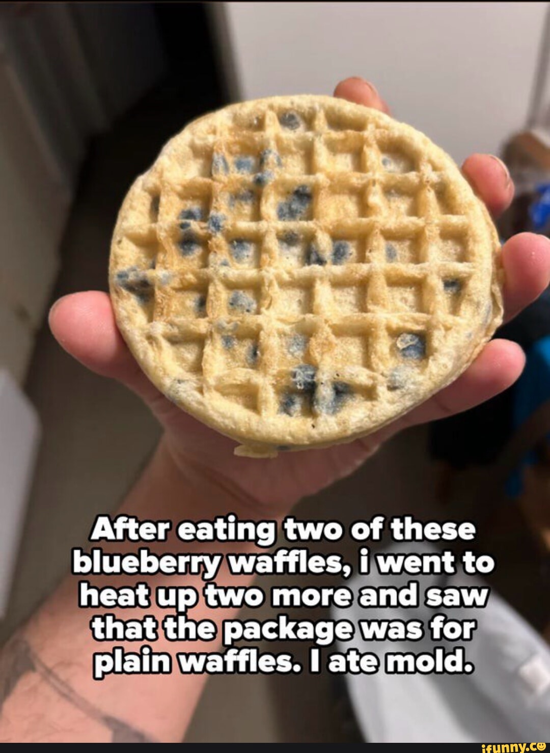 Waffles memes. Best Collection of funny Waffles pictures on iFunny