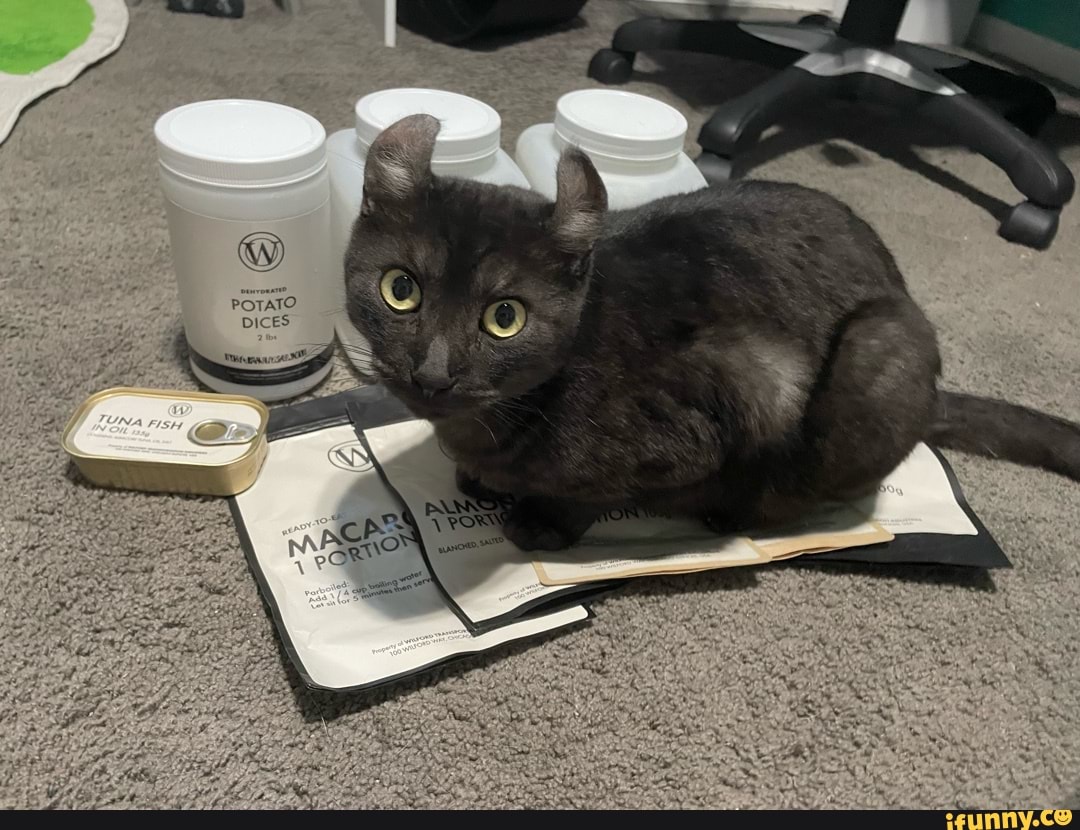 Snowpiercer memes. Best Collection of funny Snowpiercer pictures on iFunny