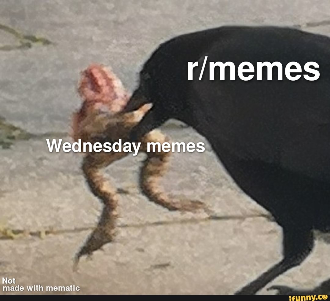 Wednesday memes Not - iFunny