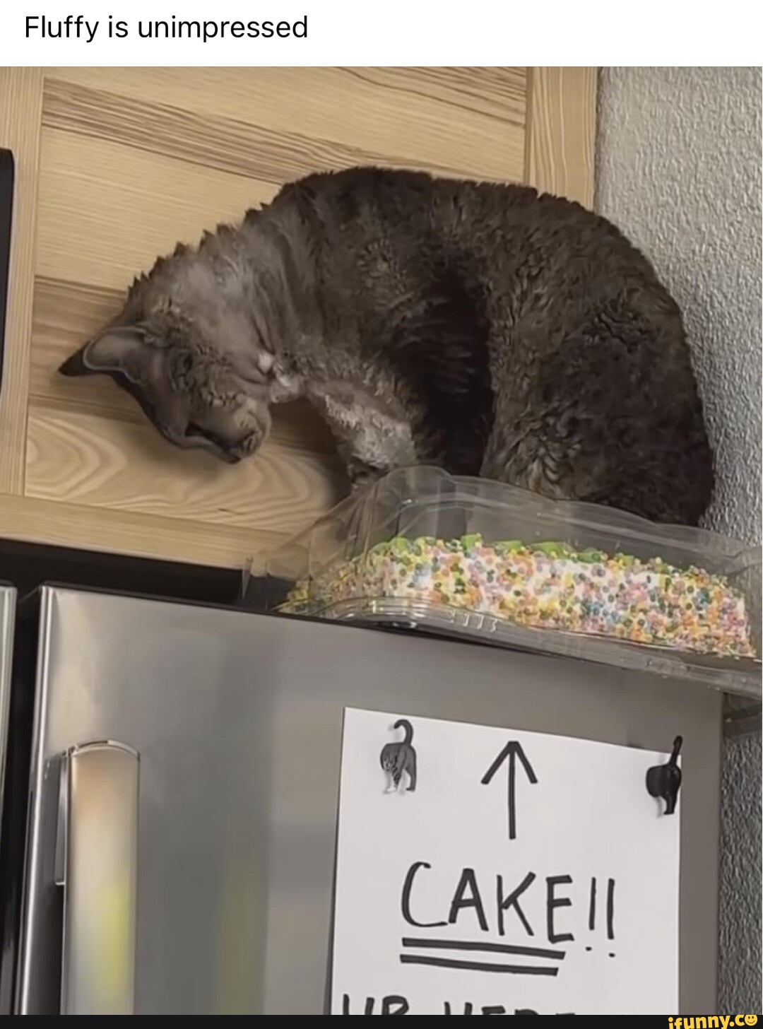 Unimpressed memes. Best Collection of funny Unimpressed pictures on iFunny