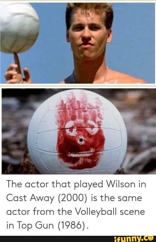 The actor that played Wilson in Cast Away (2000) is the same actor from ...