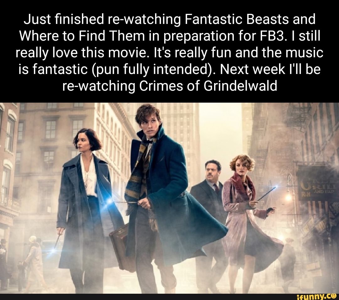 Newtscamander memes. Best Collection of funny Newtscamander pictures on ...