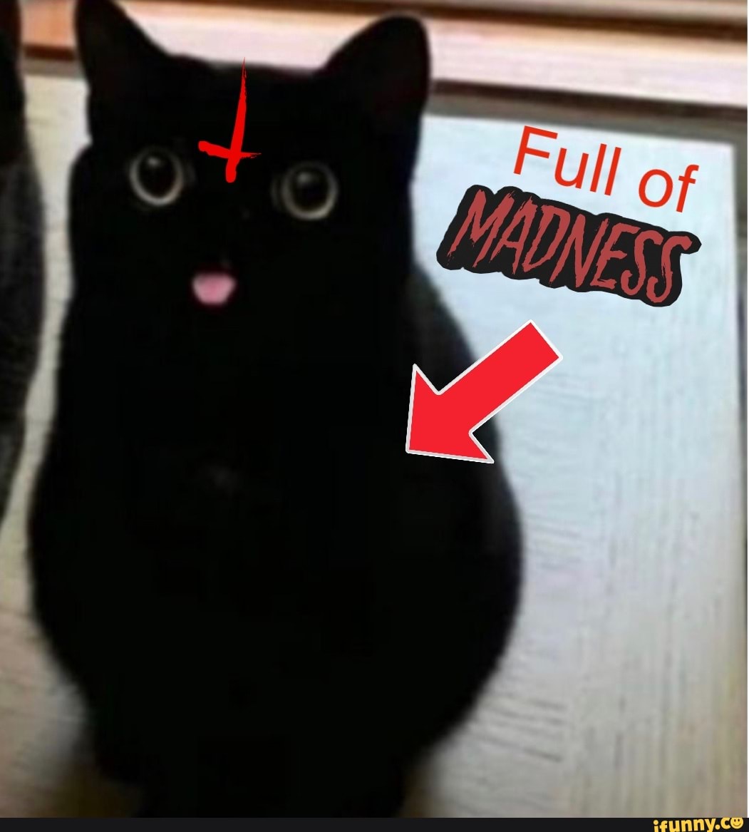 Aqw memes. Best Collection of funny Aqw pictures on iFunny