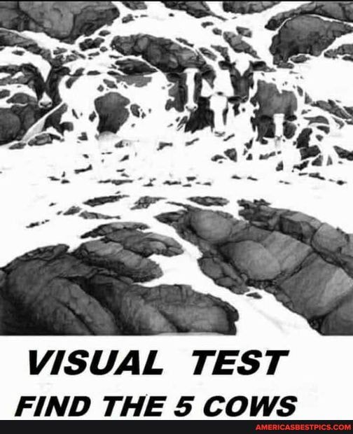 I didn’t find a single cow 🧐🤦‍♂️ - VISUAL TEST FIND THE 5 COWS ...