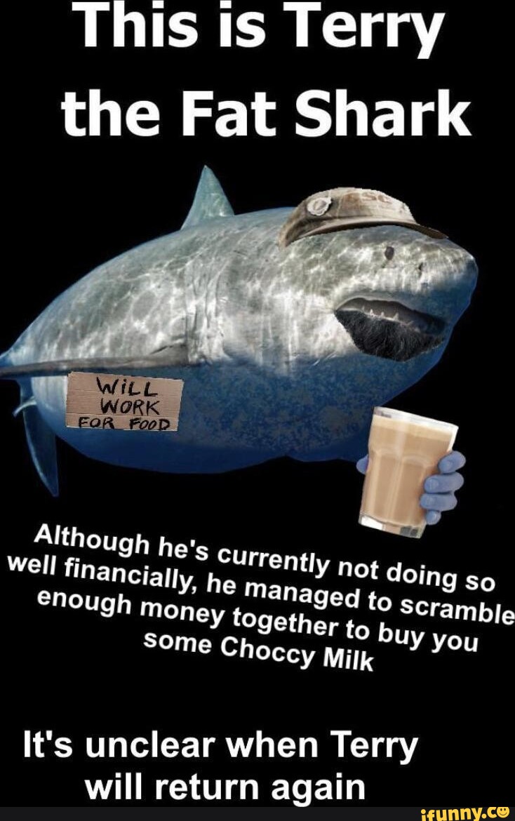 This is Terry the Fat Shark OK Although he's Currently not doing so ...