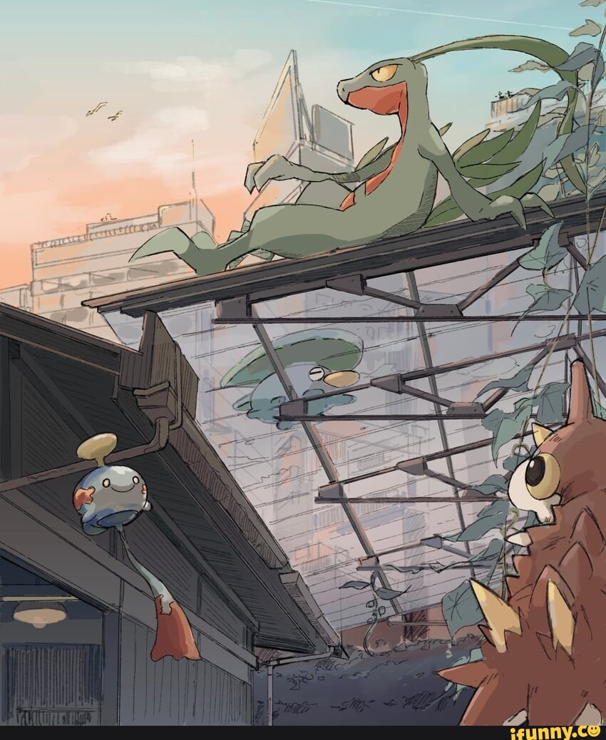 Lotad memes. Best Collection of funny Lotad pictures on iFunny