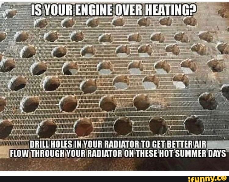 Rabiator memes. Best Collection of funny Rabiator pictures on iFunny