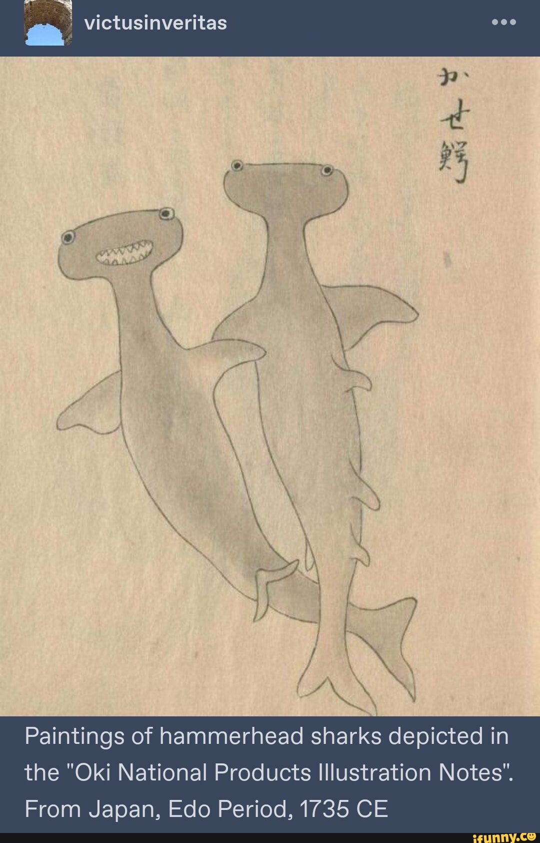 Victusinveritas Paintings of hammerhead sharks depicted in the "Oki National Products ...