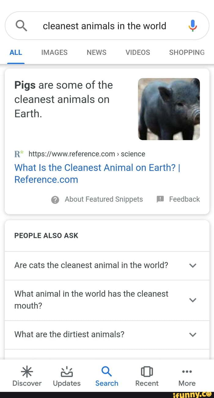 Top 10 Cleanest Animal On Earth at Steven Broadnax blog