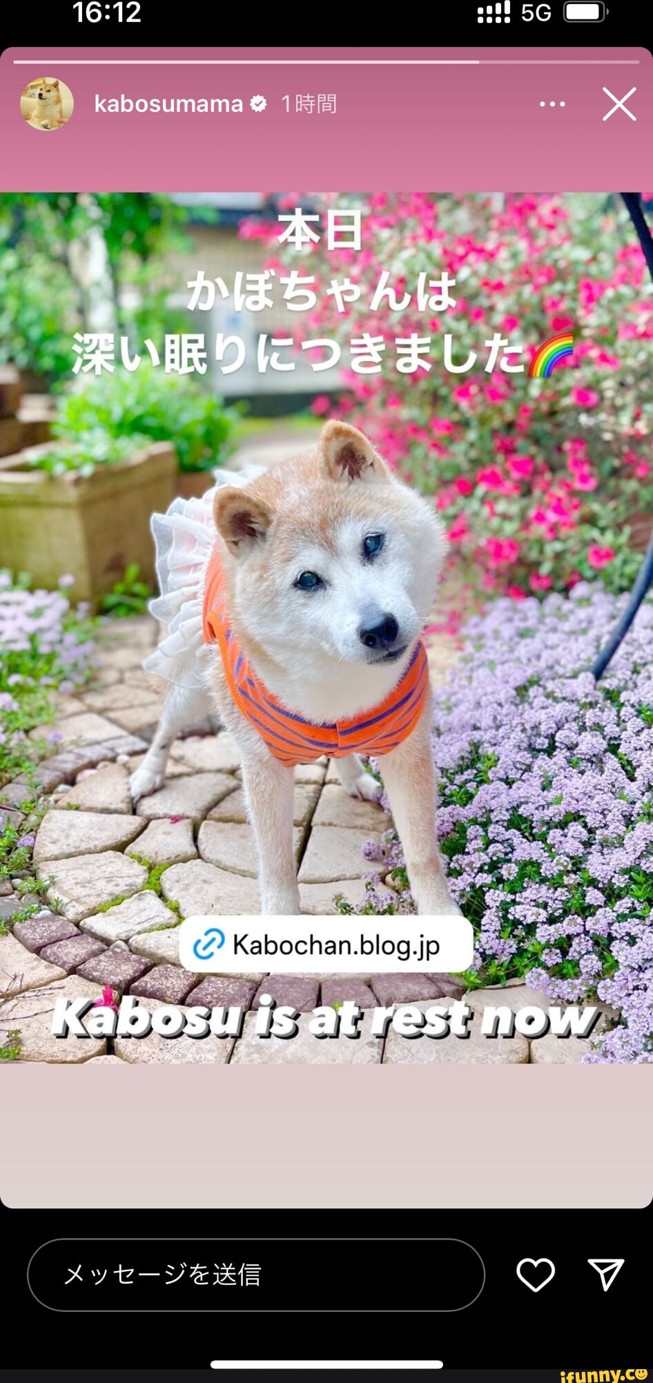 Puro memes. Best Collection of funny Puro pictures on iFunny