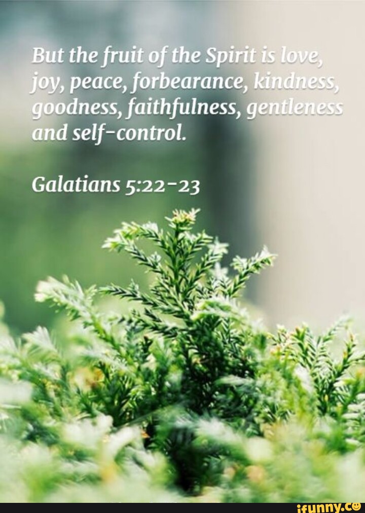 But the fruit of the Spirit is love, joy, peace, forbearance, kindness ...