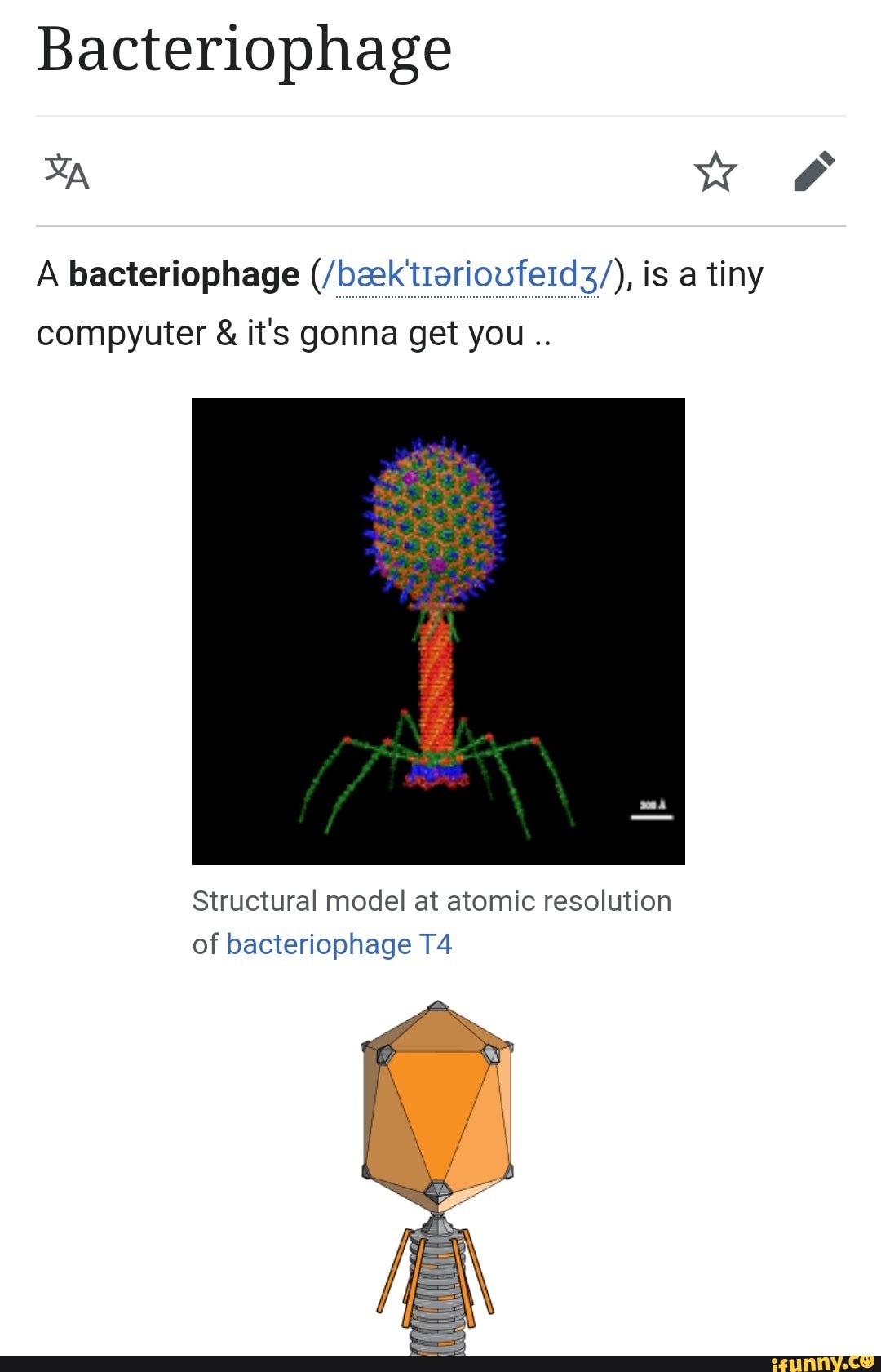 Bacteriophage memes. Best Collection of funny Bacteriophage pictures on ...