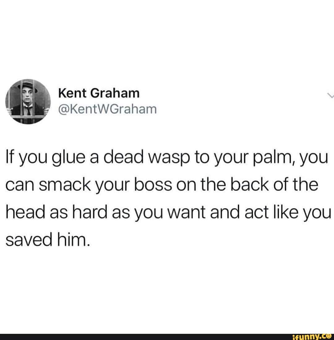 Video memes td40LhR67 by MEME_K1NGZ: 459 comments - )