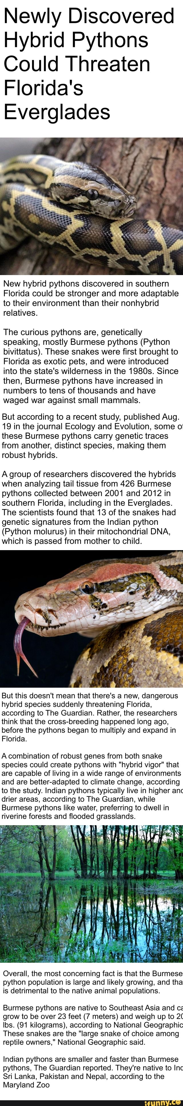 Animalarchive memes. Best Collection of funny Animalarchive pictures on iFunny