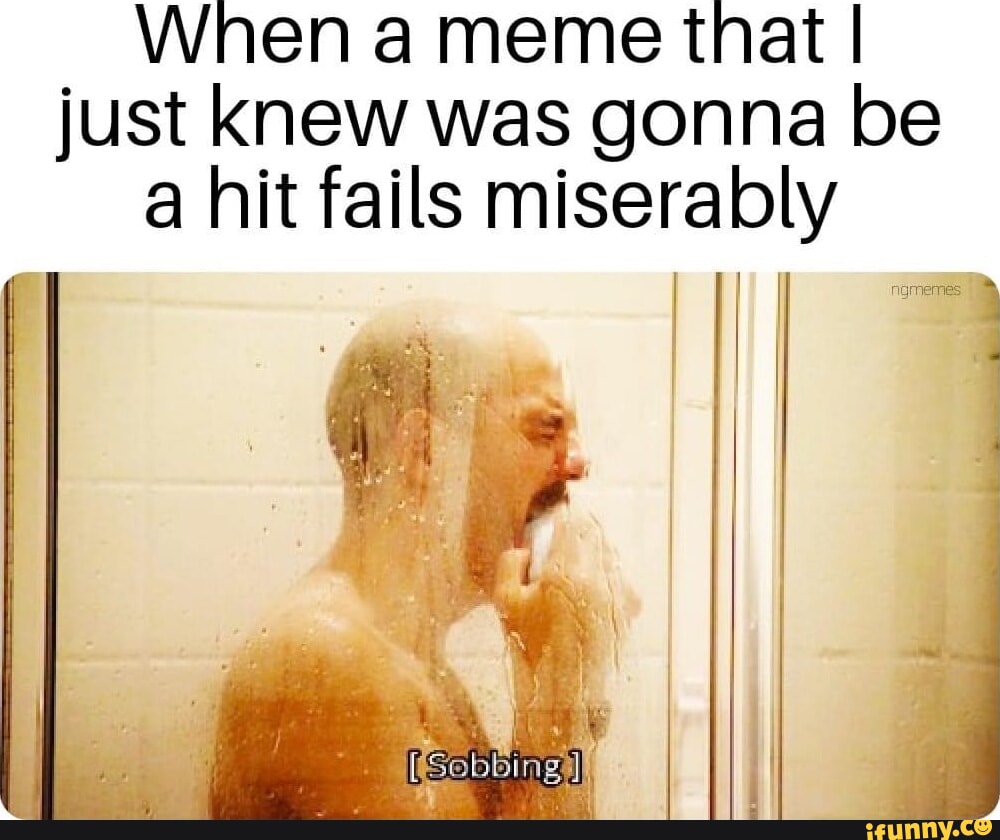 When a meme that I just knew was gonna be a hit fails miserably I - iFunny