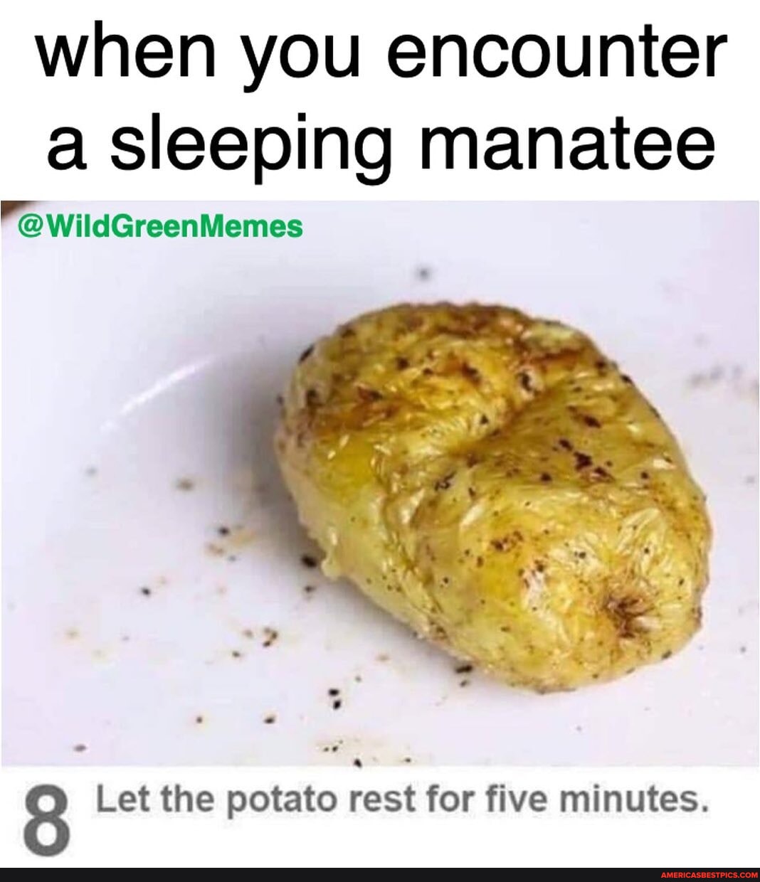 🥔 Meme by @beingevolved - when you encounter a sleeping manatee ...