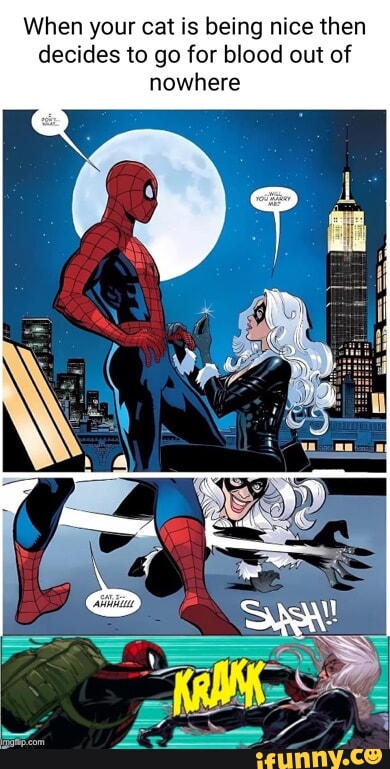 When your cat is being nice then decides to go for blood out of nowhere ...