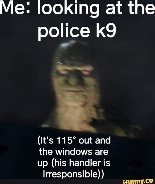 Me: looking at the police (It's out and the windows are up (his handler ...