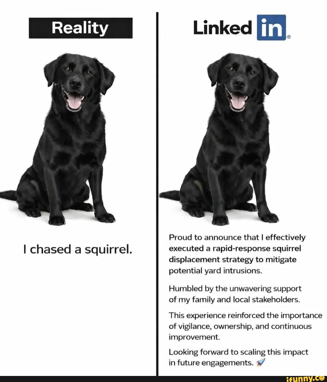 I chased a squirrel. Proud to announce that I effectively executed a ...