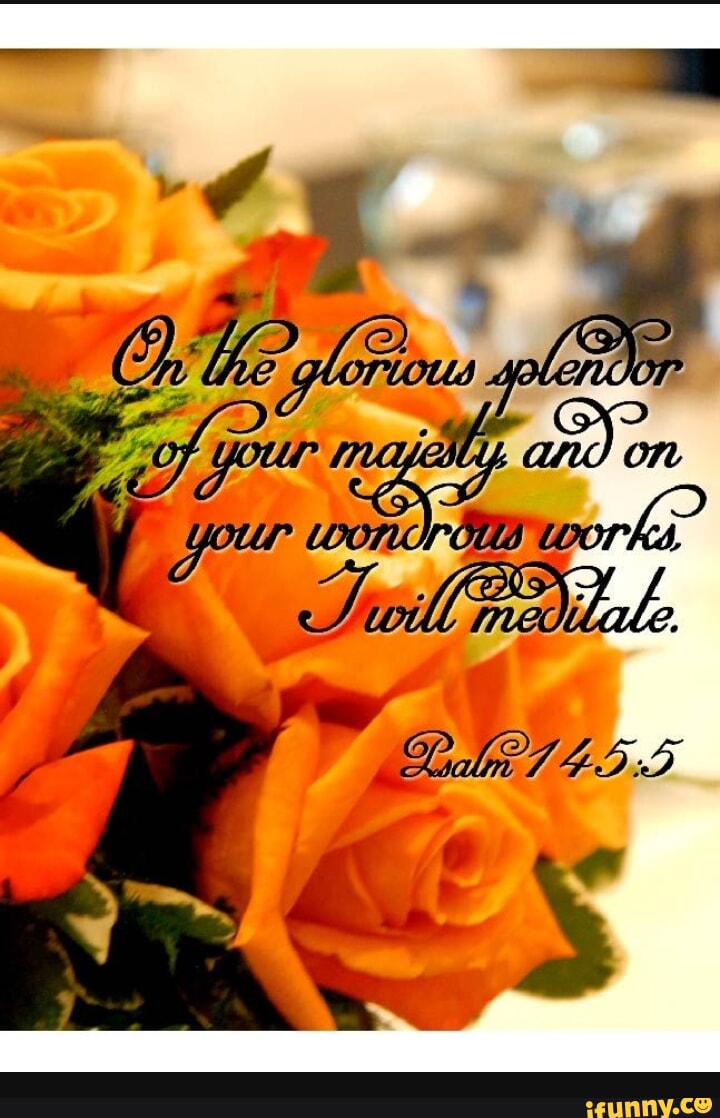 Mbs memes. Best Collection of funny Mbs pictures on iFunny