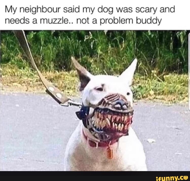 Scared Dog Meme