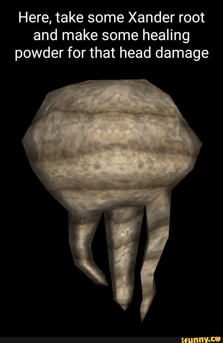 Here, take some Xander root and make some healing powder for that head ...