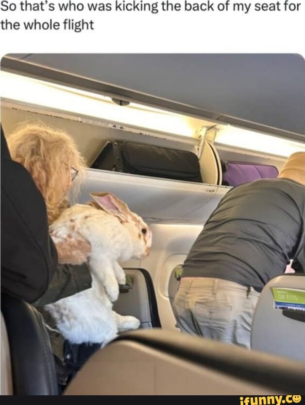 So that's who was kicking the back of my seat for the whole flight - iFunny