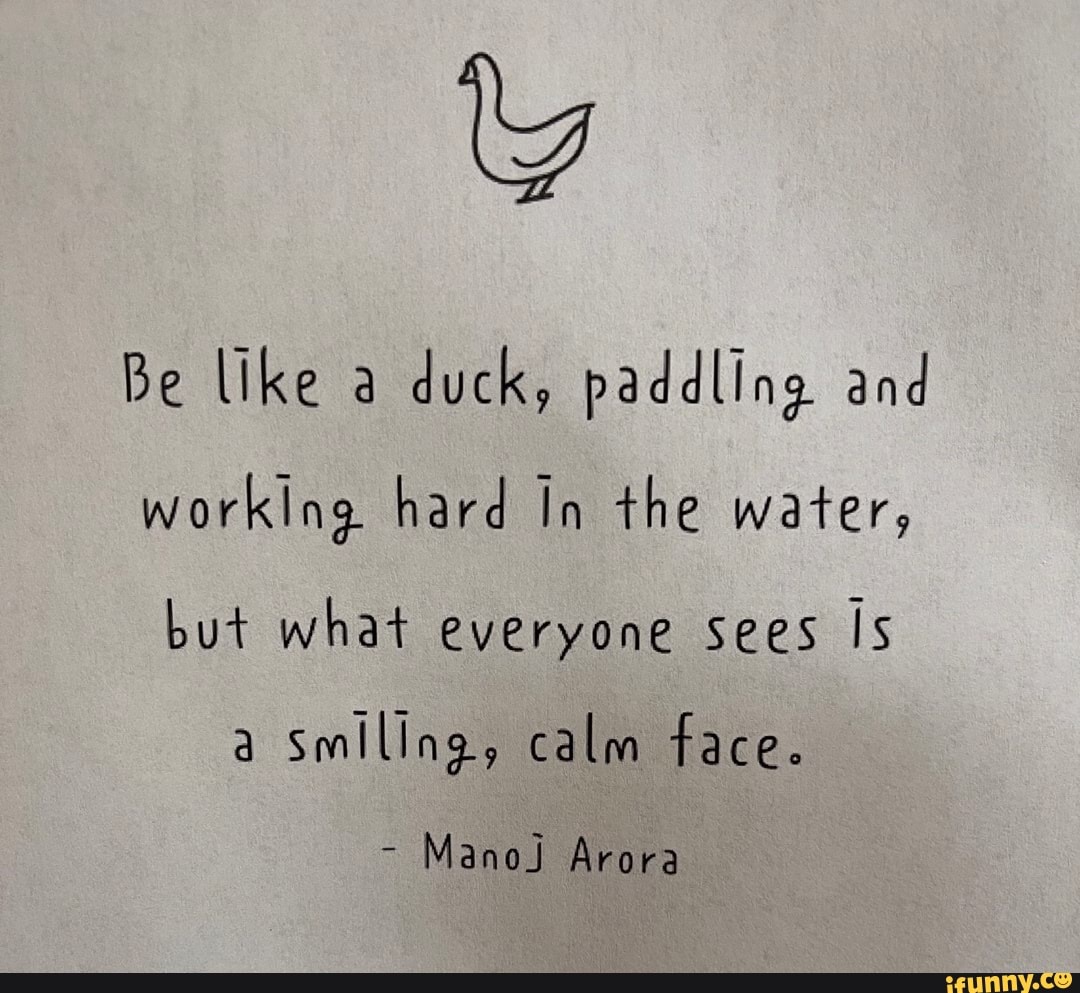 Be like a duck, paddling and workIng hard In the water, but what ...