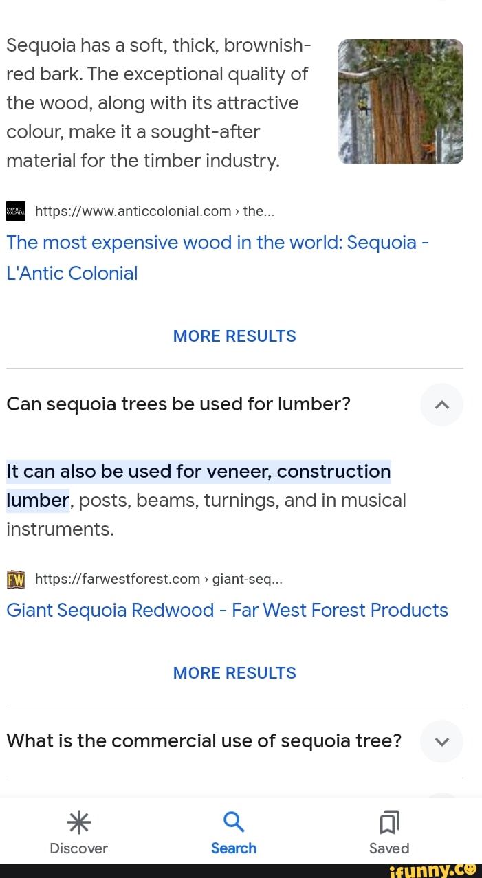 Timber memes. Best Collection of funny Timber pictures on iFunny