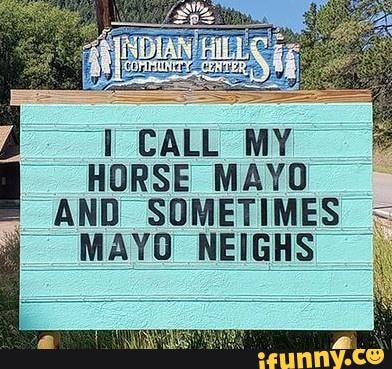 Puns & Dad jokes - CALL MY HORSE MAYO AND SOMETIMES MAYO NEIGHS - iFunny
