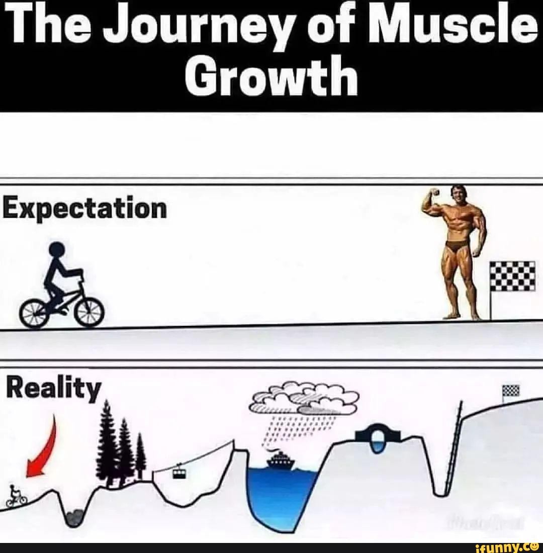 The Journey of Muscle Growth Expectation - iFunny