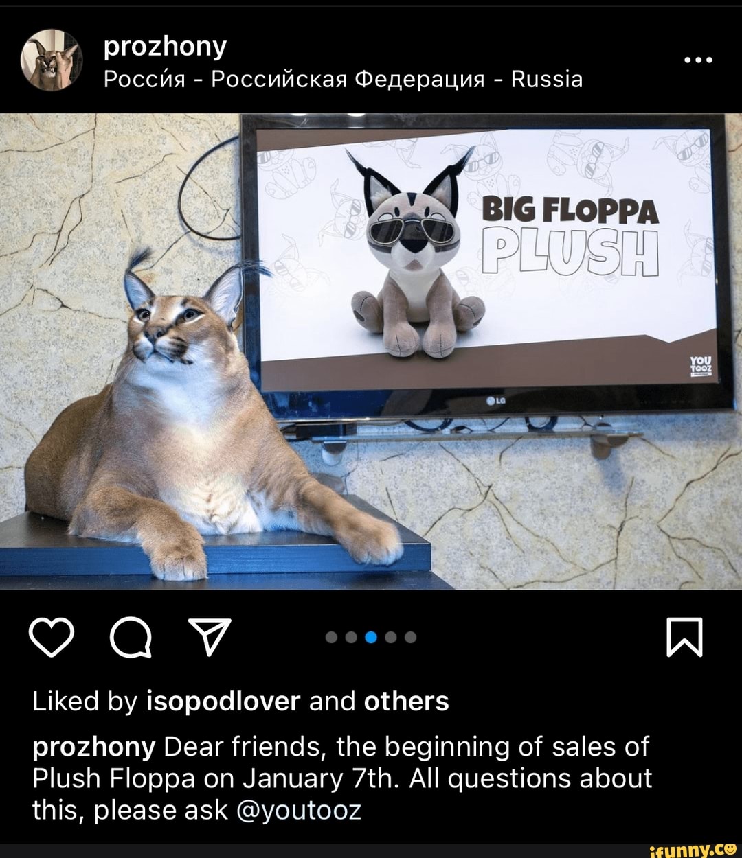 Poccna memes. Best Collection of funny Poccna pictures on iFunny