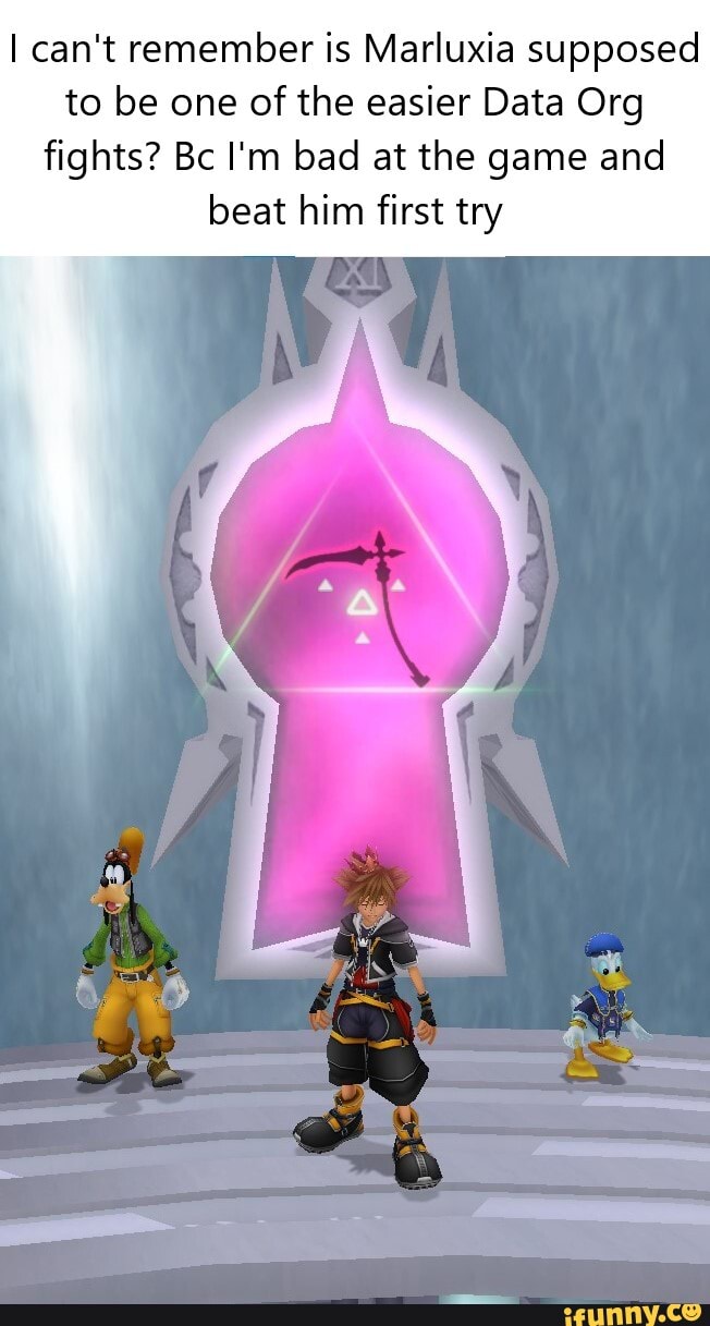 Marluxia memes. Best Collection of funny Marluxia pictures on iFunny