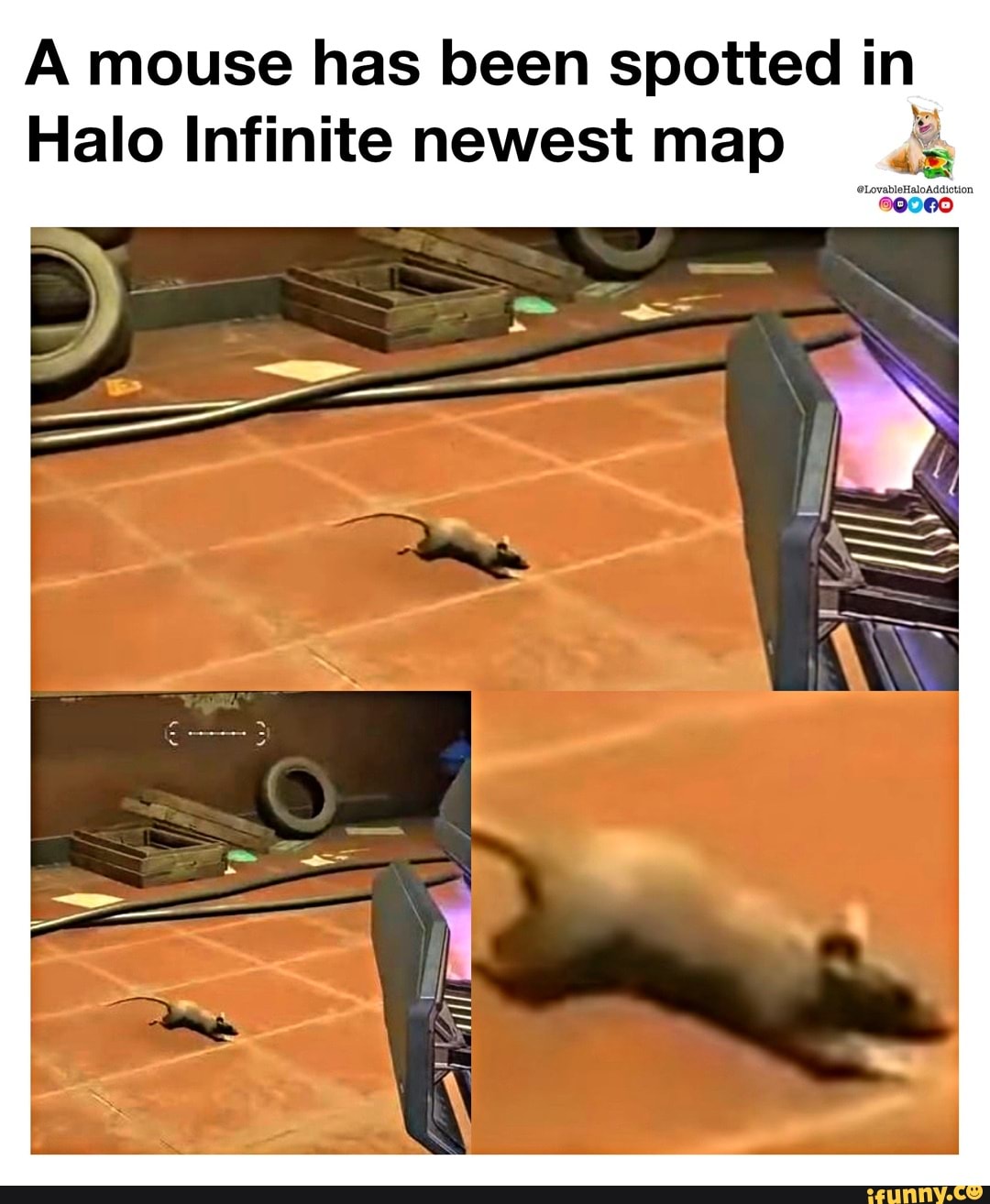 Follow LovableHaloAddiction on Twitch and Instagram! - A mouse has been ...