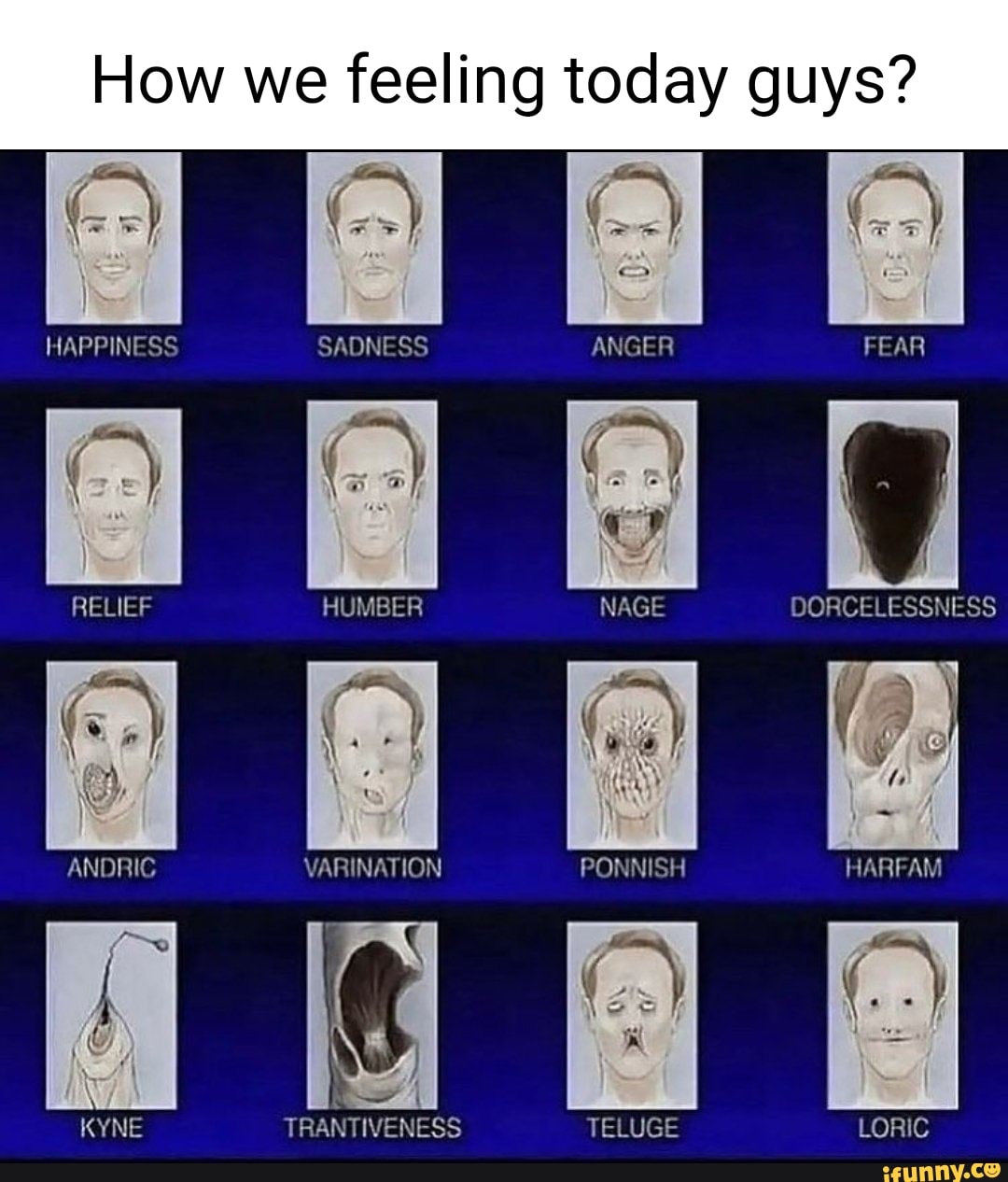 How we feeling today guys? HAPPINESS SADNESS ANGER FEAR DORCELESSNESS ...