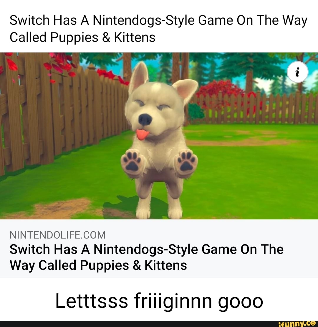 Nintendogs Memes