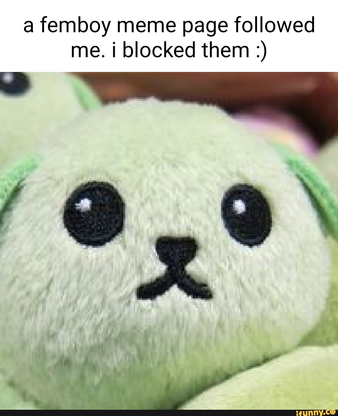 Femboy meme page followed me. blocked them - iFunny