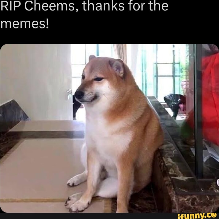 RIP Cheems, thanks for the memes! - iFunny