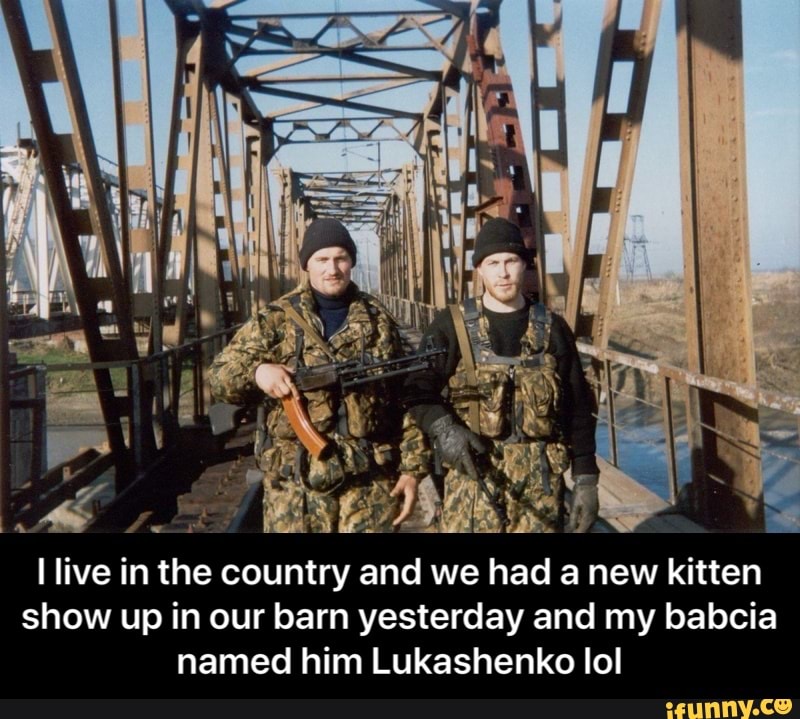 Babcia memes. Best Collection of funny Babcia pictures on iFunny