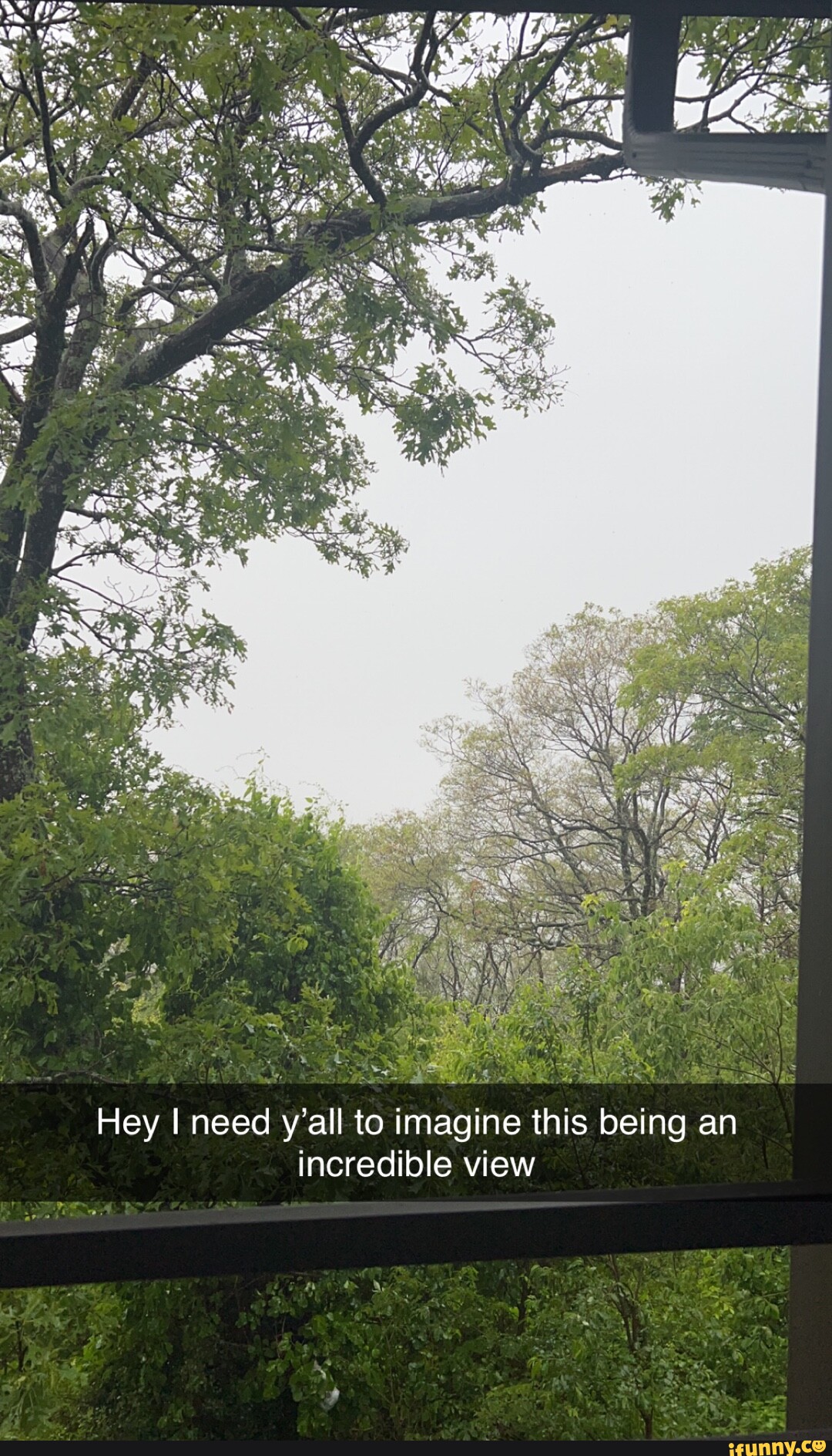 Hey I need y'all to imagine this being an incredible view - iFunny