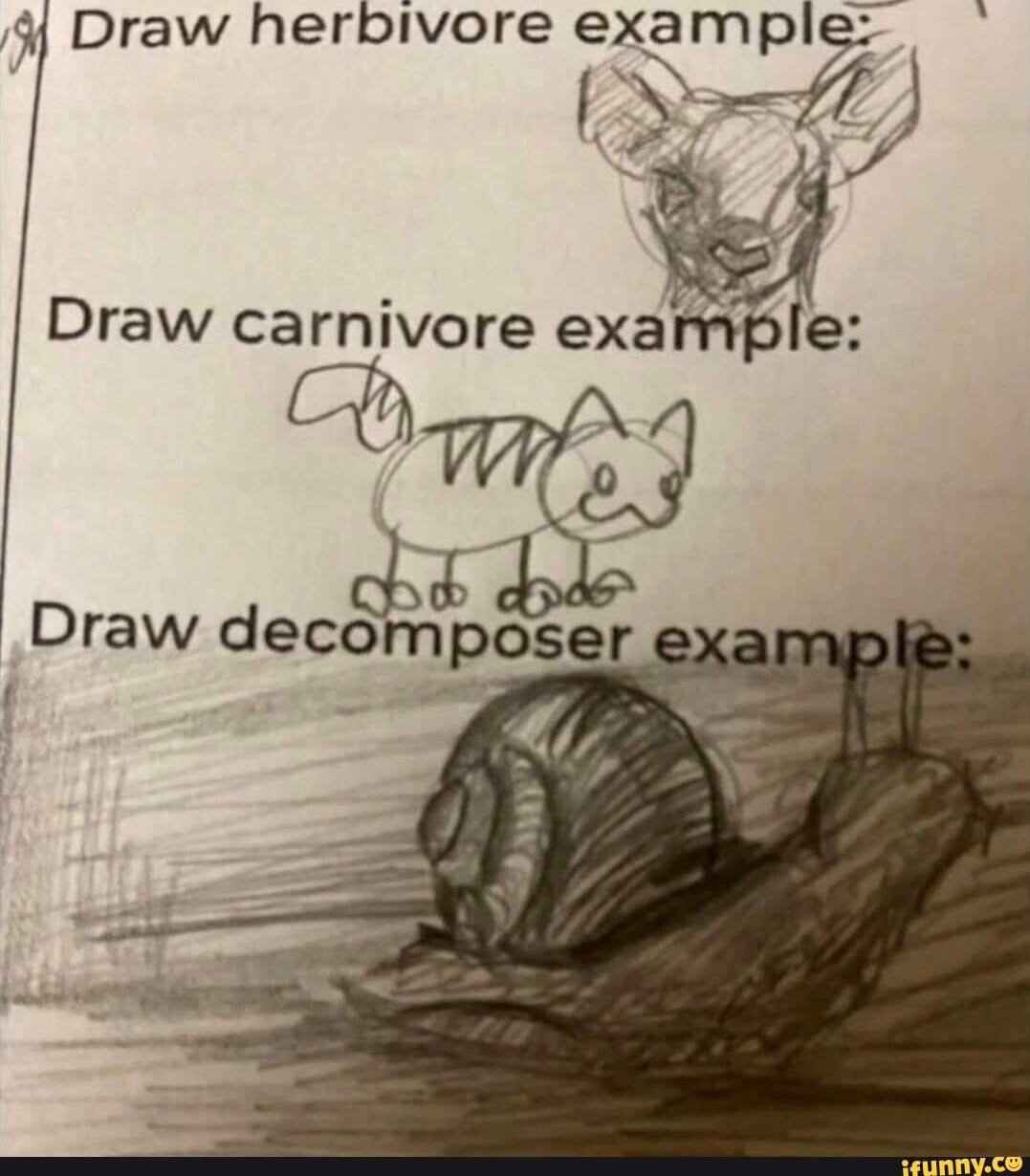 Draw herbivore Draw carnivore Draw decomposer - iFunny