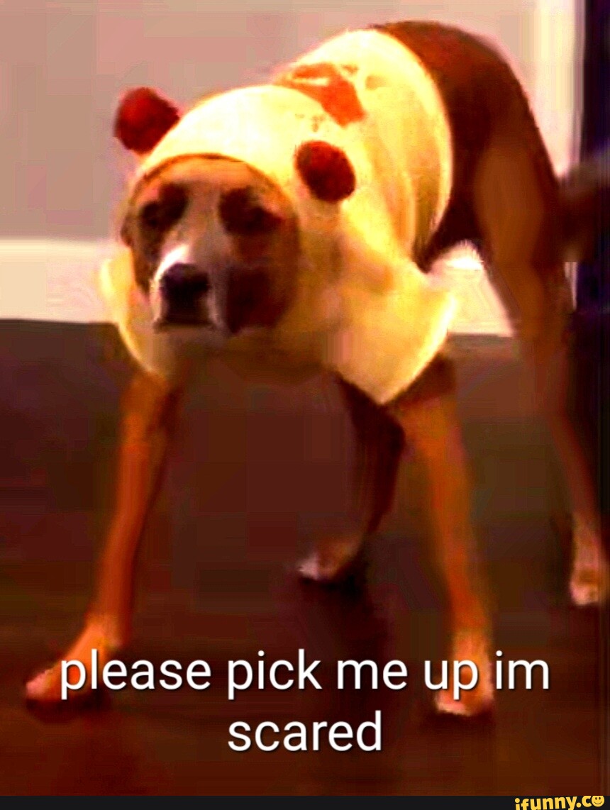 WOMEN: WE'RE INVADING ALL OF YOUR SPACES AND TAKING ALL OF YOUR THINGS ...