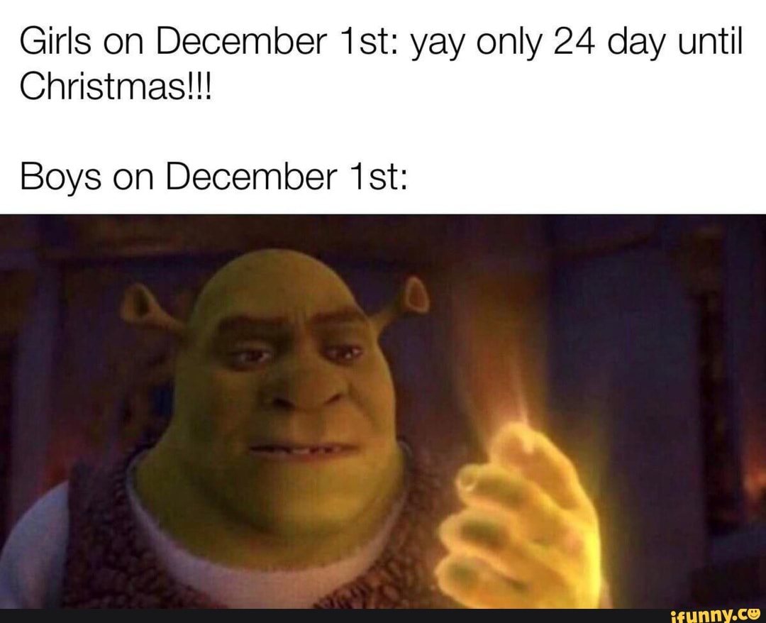 Girls on December 1st: yay only 24 day until Christmas!!! Boys on ...