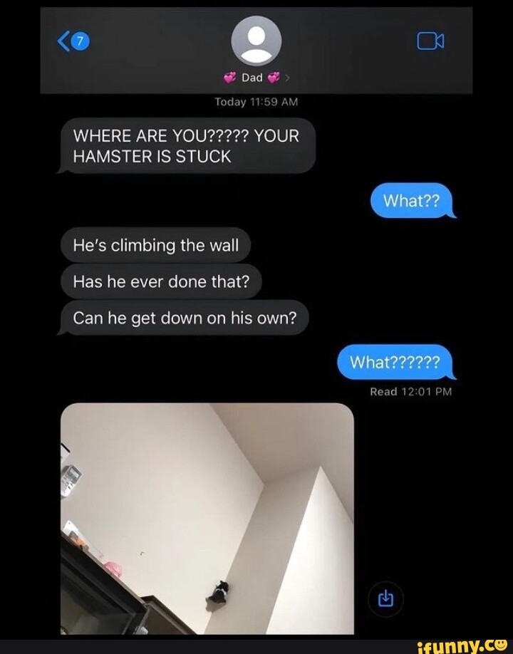 Dad Today 11 58 AM WHERE ARE YOU????? YOUR HAMSTER IS STUCK Whact?? He ...