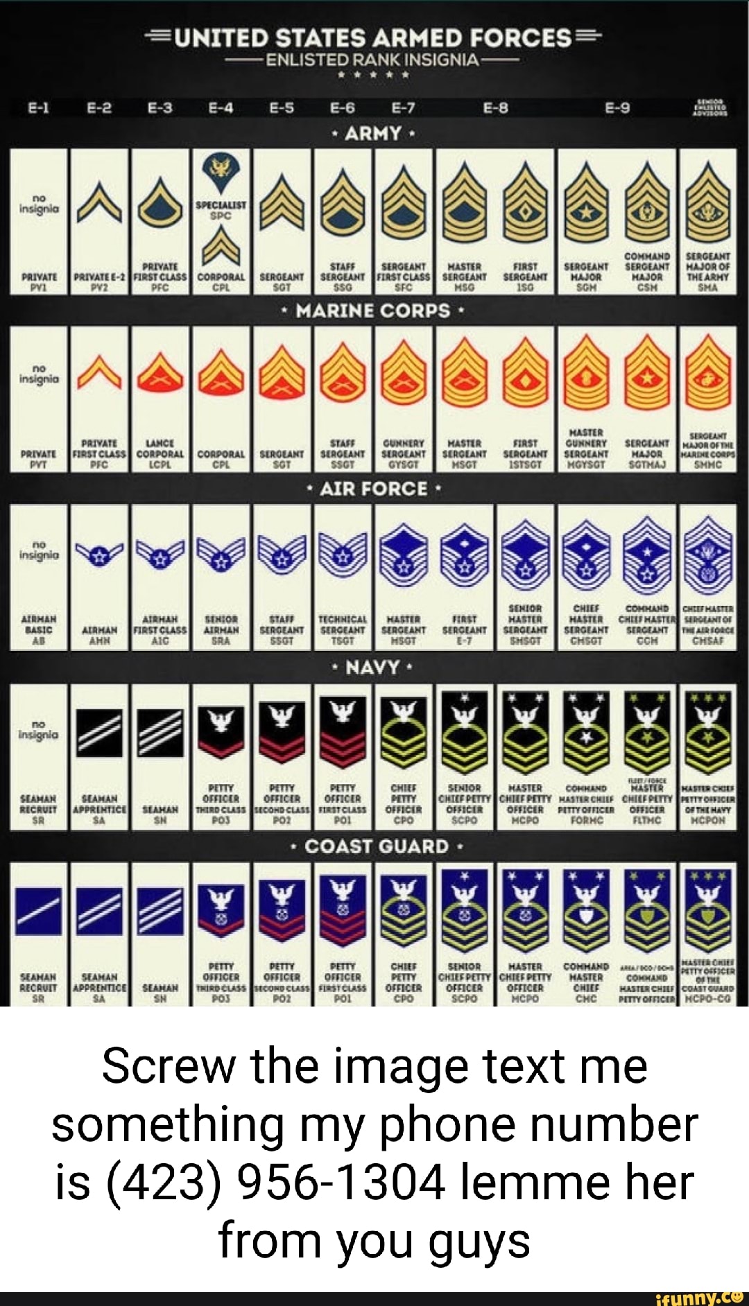 =UNITED STATES ARMED FORCES> ENLISTED RANK INSIGNIA-- ARMY II SERGEANT ...