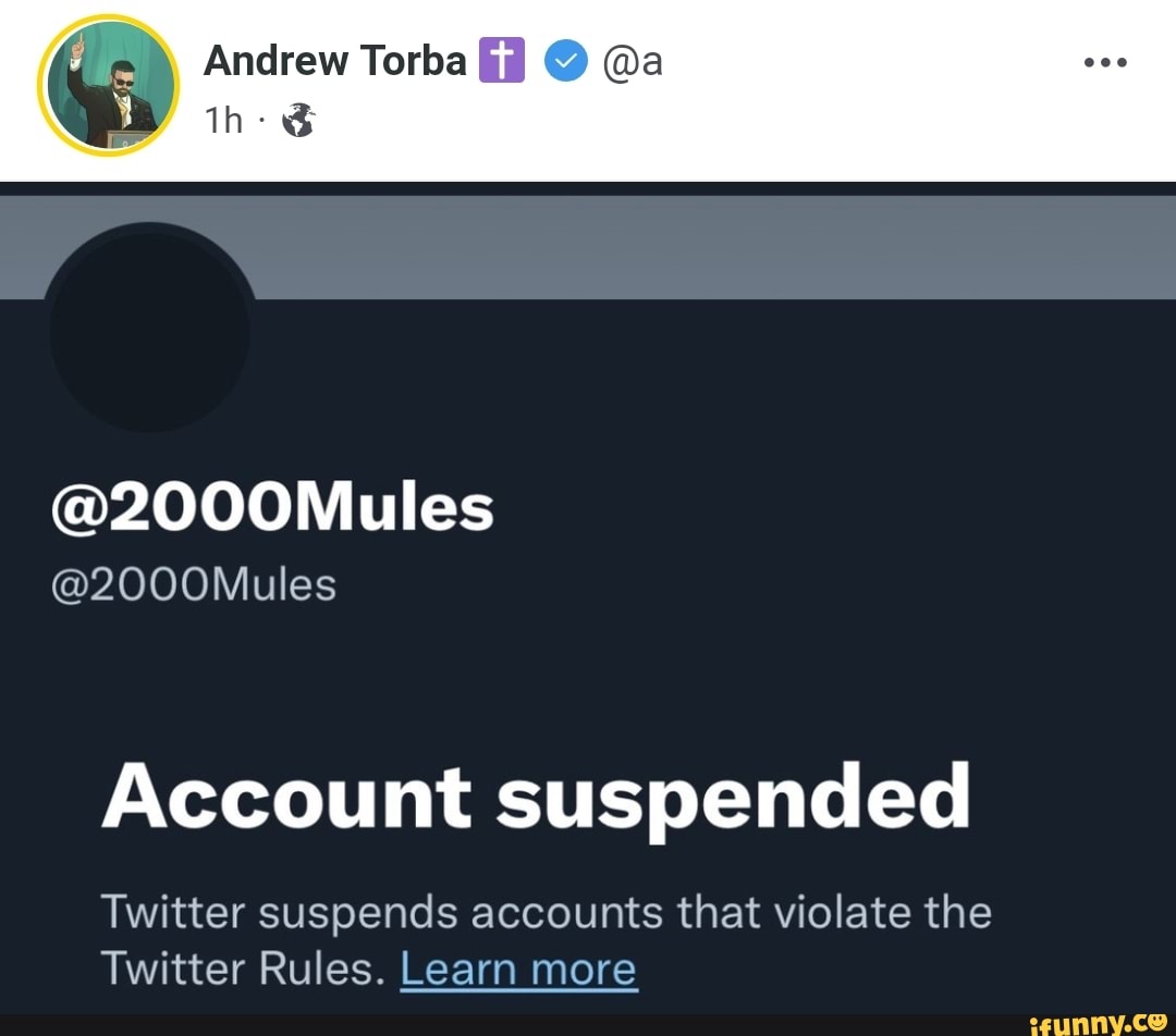 Andrew Torba @ @a Th: & @2000Mules @2000Mules Account suspended Twitter ...