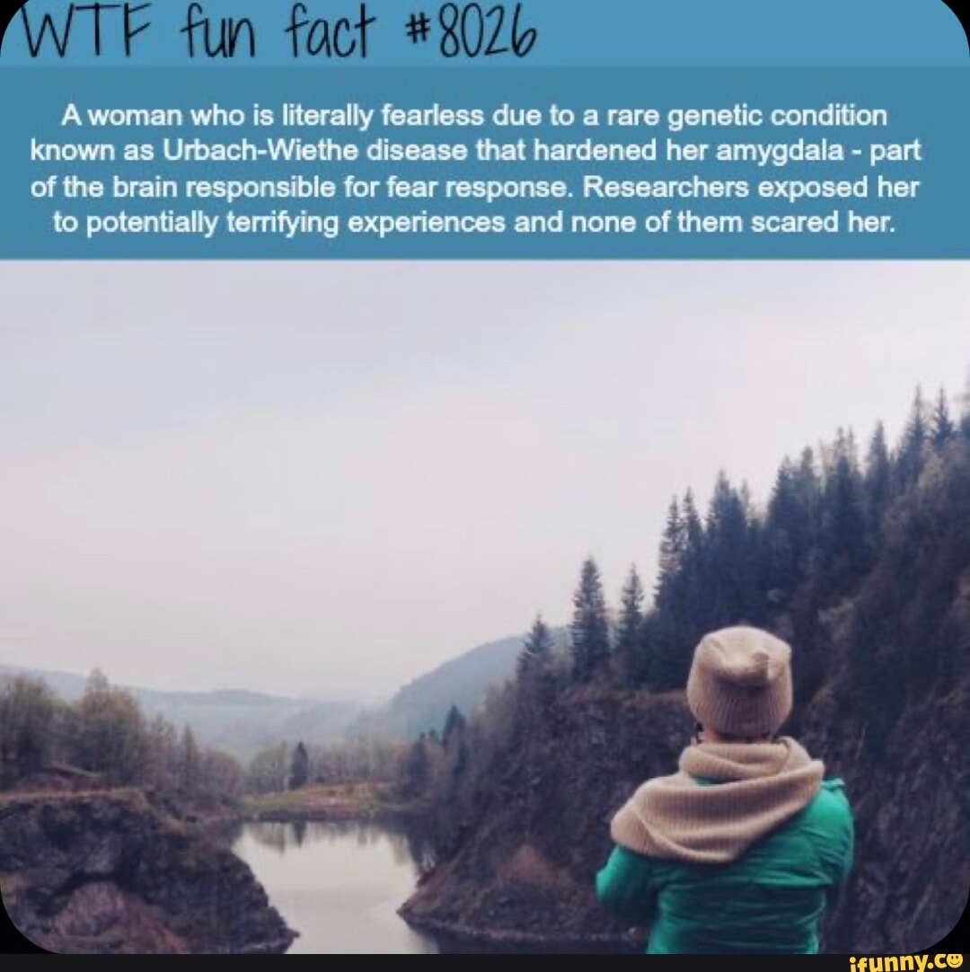 Amygdala memes. Best Collection of funny Amygdala pictures on iFunny